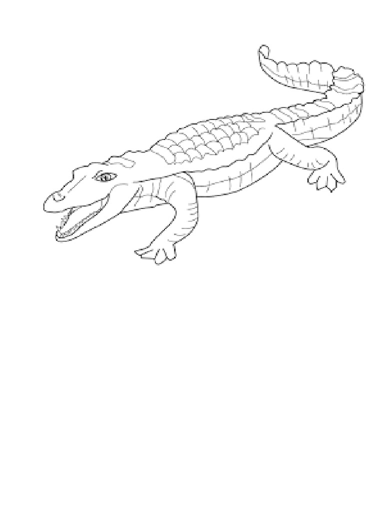 Dibujo Caiman | PDF