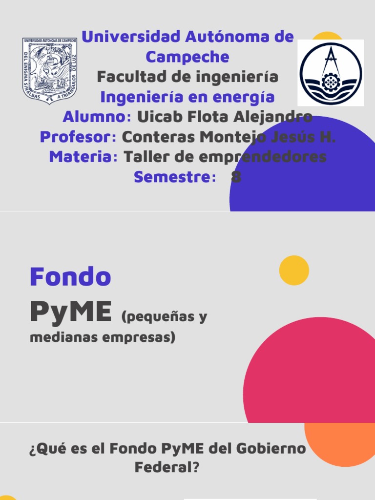 Fondo PyME | PDF | Pequeñas y medianas empresas | Business