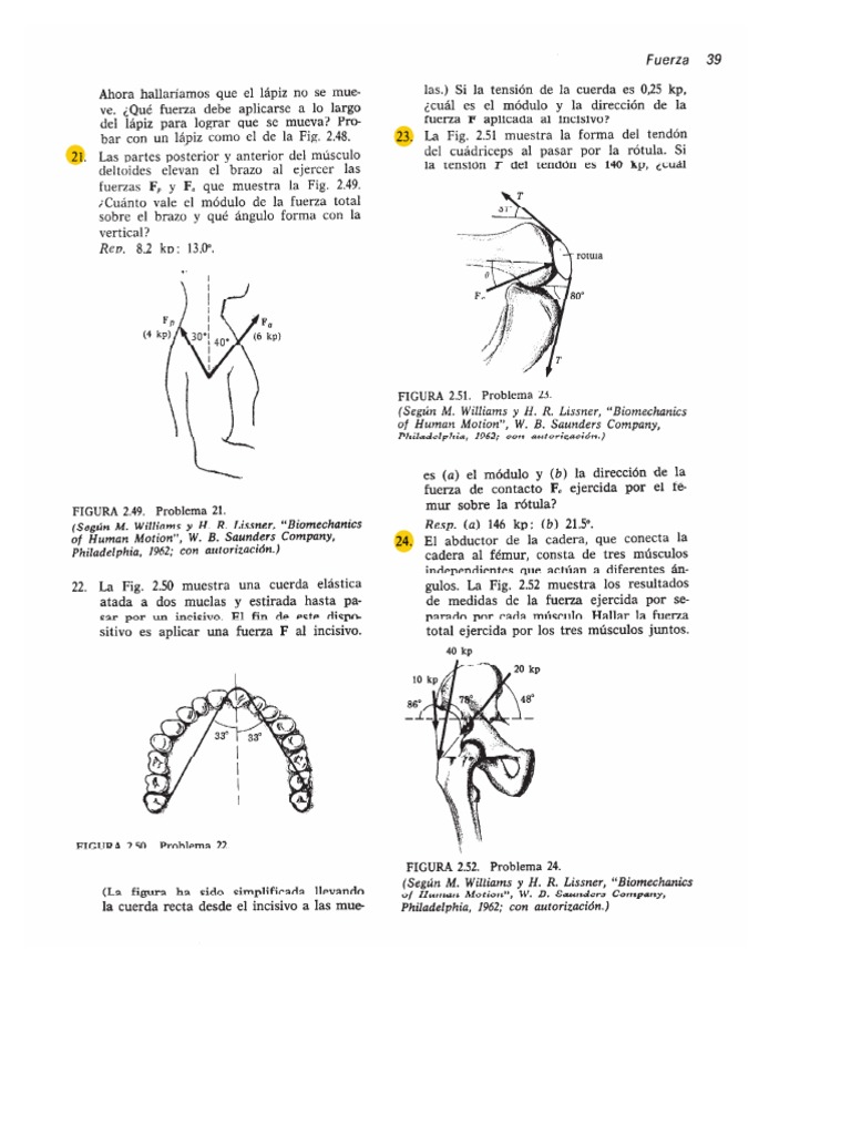 Cromer Alan Ejercicios Fuerza 1 | PDF