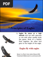 7 Principles of An Eagle | PDF | Eagle | Nest