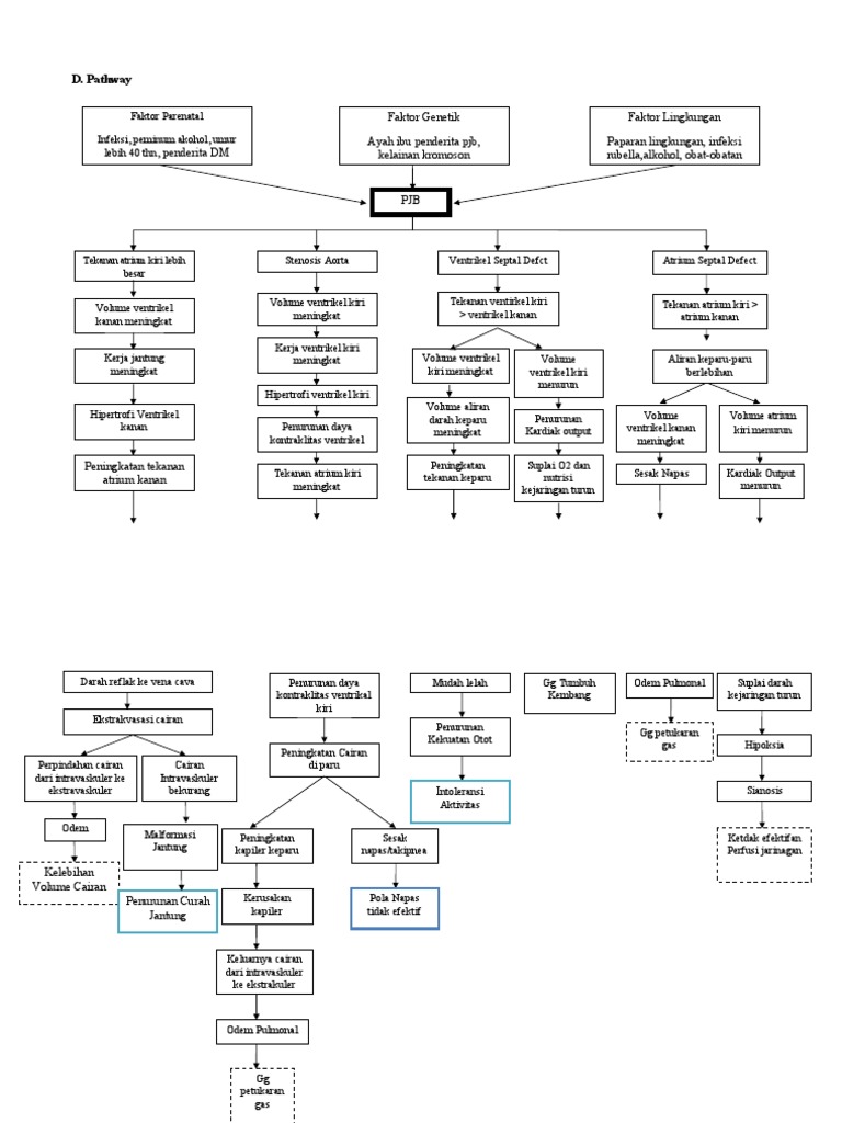 Pathway PJB | PDF
