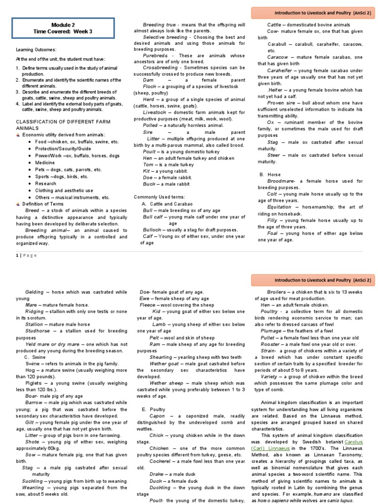 Module 2 Intro To Livestock and Poultry | PDF | Sheep | Cattle