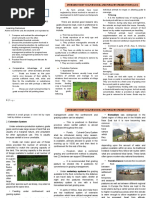 Principles of Animal Production | PDF | Livestock | Dairy