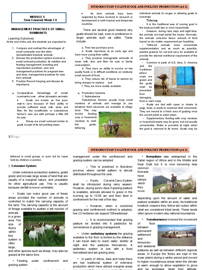 MODULE 5 Intro To Livestock and Poultry | PDF | Agriculture | Goat