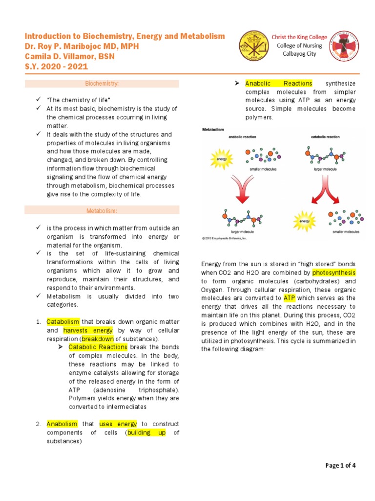 1 Introduction To Biochem, Energy, and Metabolism | PDF | Metabolism ...
