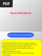 Tabel Pengamatan Struktur Morfologi Bunga | PDF