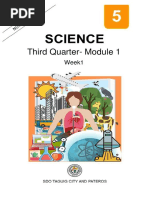 5E Lesson Plan: Motion in Grade 5 Science | PDF | Time | Lesson Plan