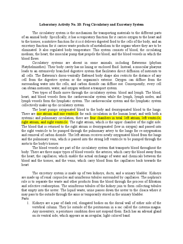 Laboratory Activity No. 10: Frog Circulatory and Excretory System | PDF ...