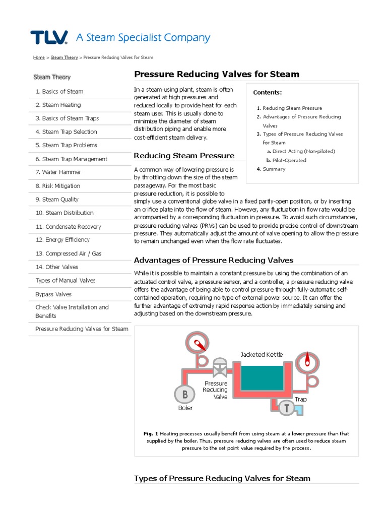 Pressure Reducing Valves For Steam - TLV - A Steam Specialist Company ...