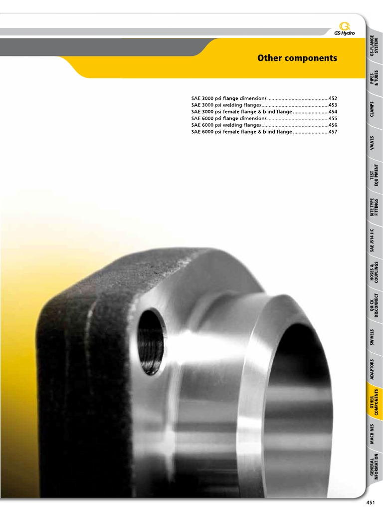 Gs Hydro Flange Fittings | PDF