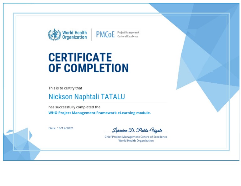 Project Management Certificate | PDF