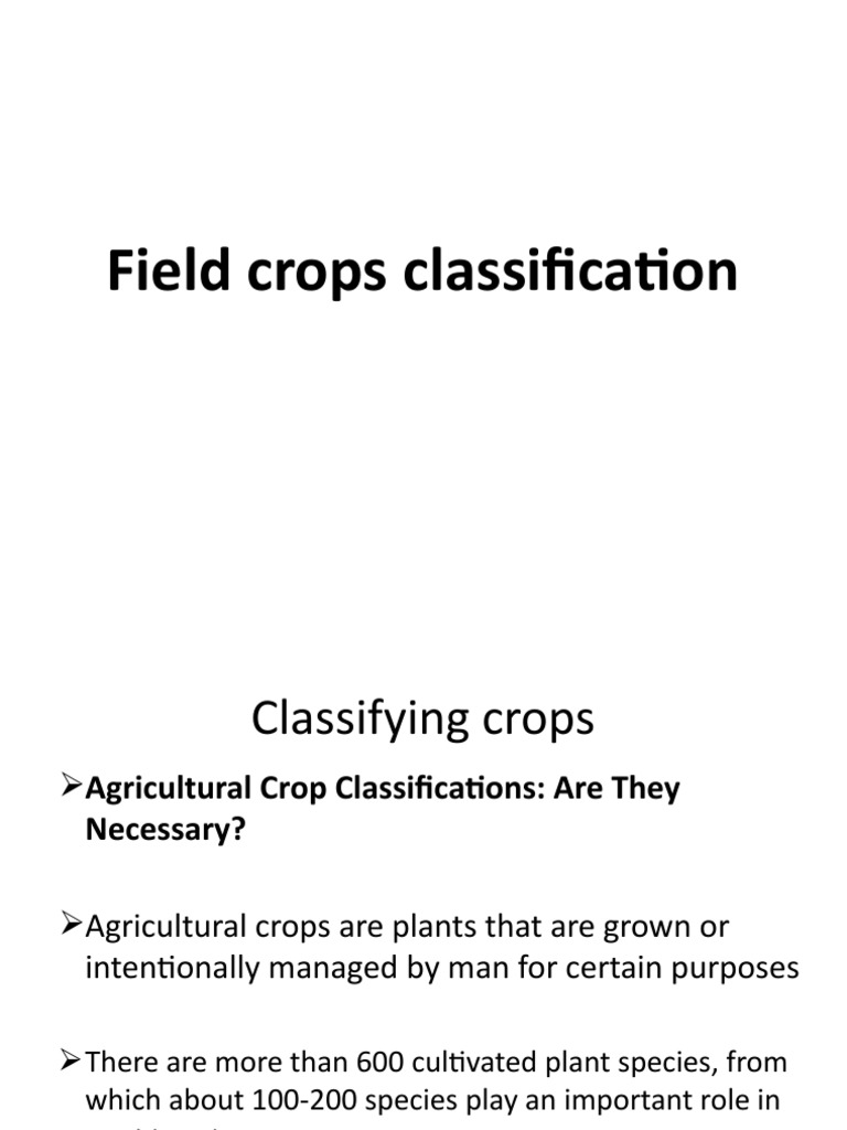 03.field Crops Classification | PDF | Legume | Pollination