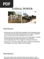 Understanding Draught Animals' Roles | PDF | Agriculture | Animals And ...