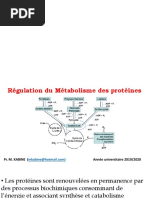 Cycle de l'urée et uréogenèse | PDF | Sciences physiques | Biologie