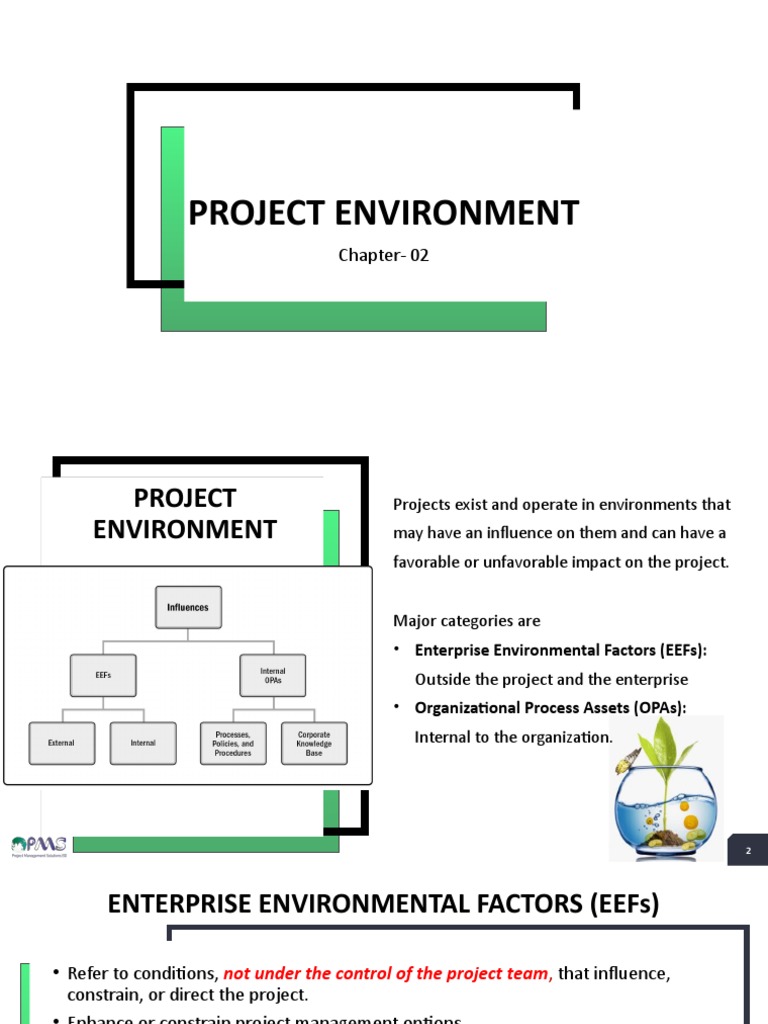 PMBOK Chapter 2-3 Project Environment and PM Role | PDF | Leadership ...