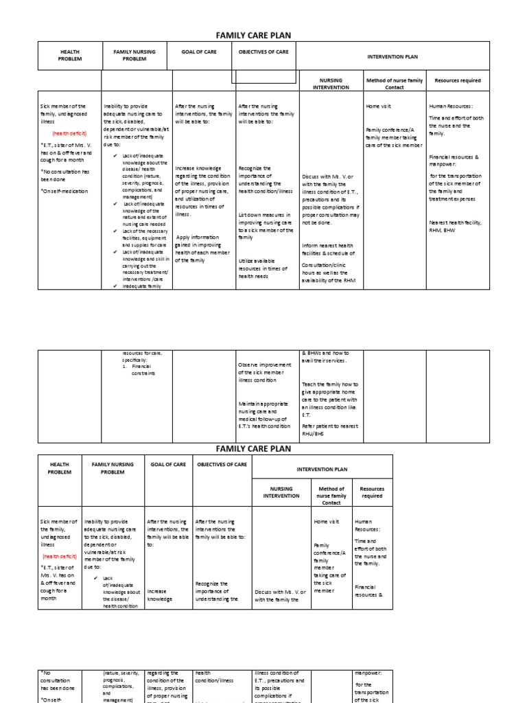 Family Care Plan: Health Problem Family Nursing Problem Goal of Care ...