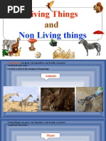 Living vs Non-Living Things Chart | PDF | Social Science | Young Adult