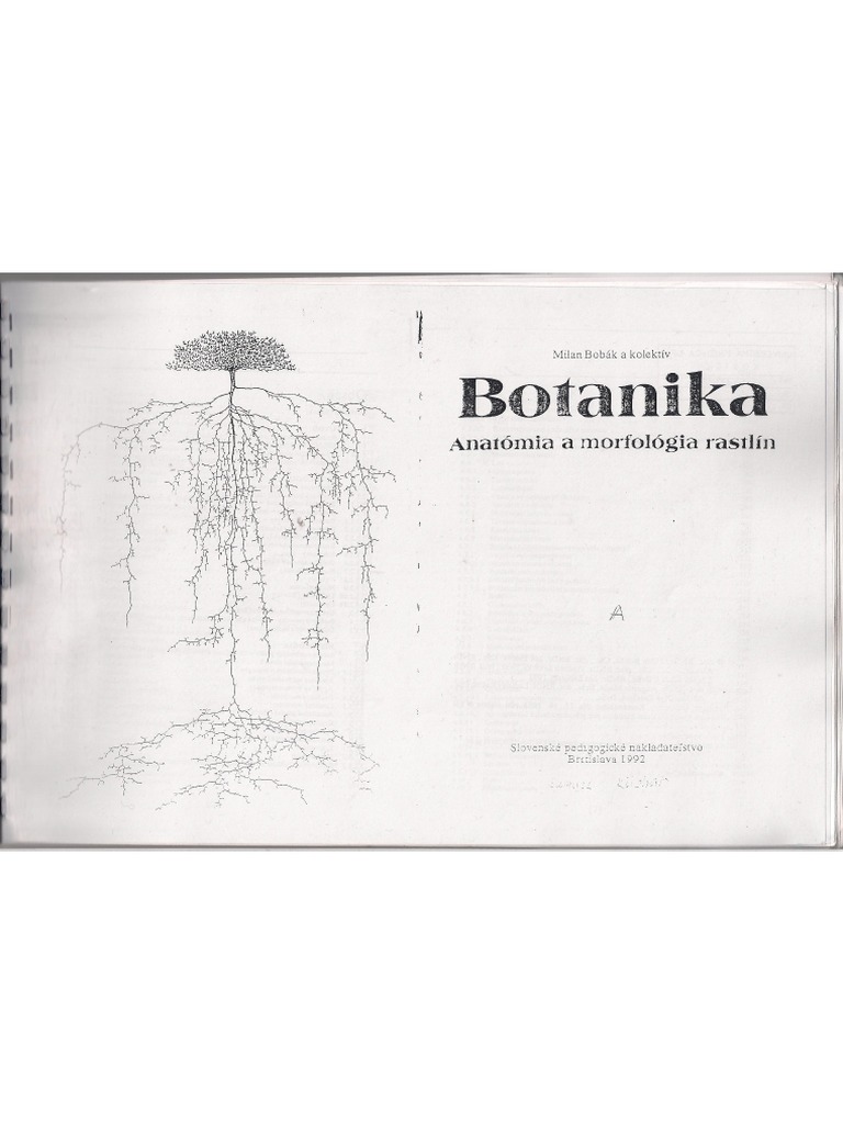 Botanika. Anatómia A Morfológia Rastlín - Bobák | PDF