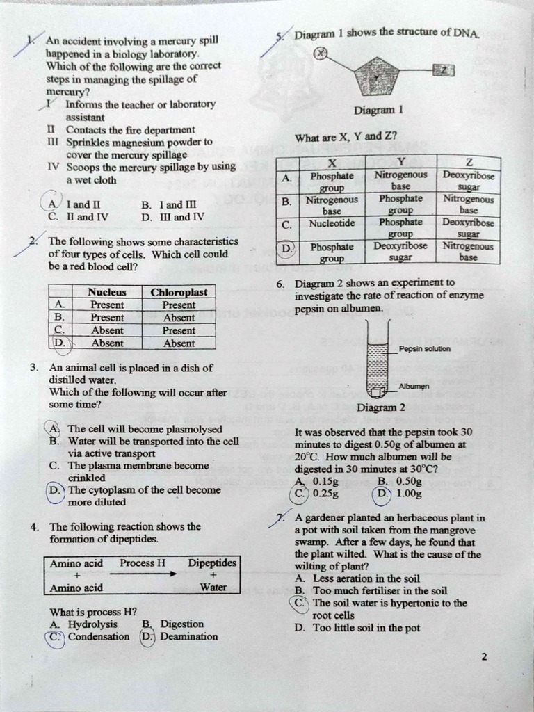 Form 5 Trial-Bio Paper 1 | PDF