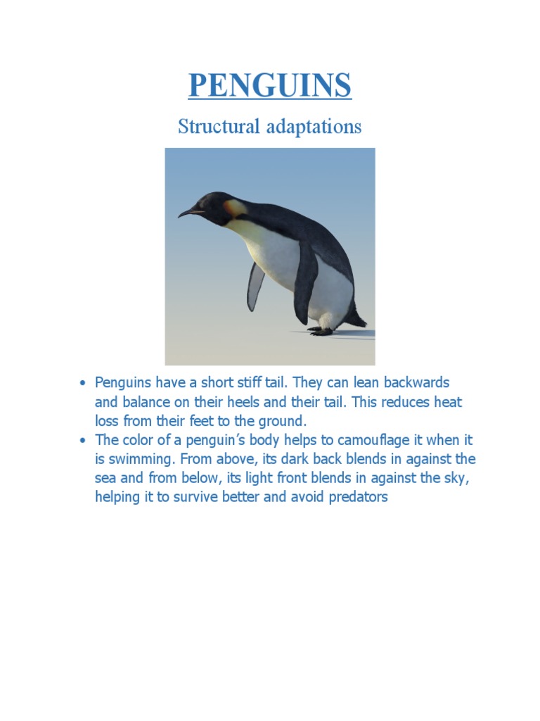 Adaptation Of Penguins