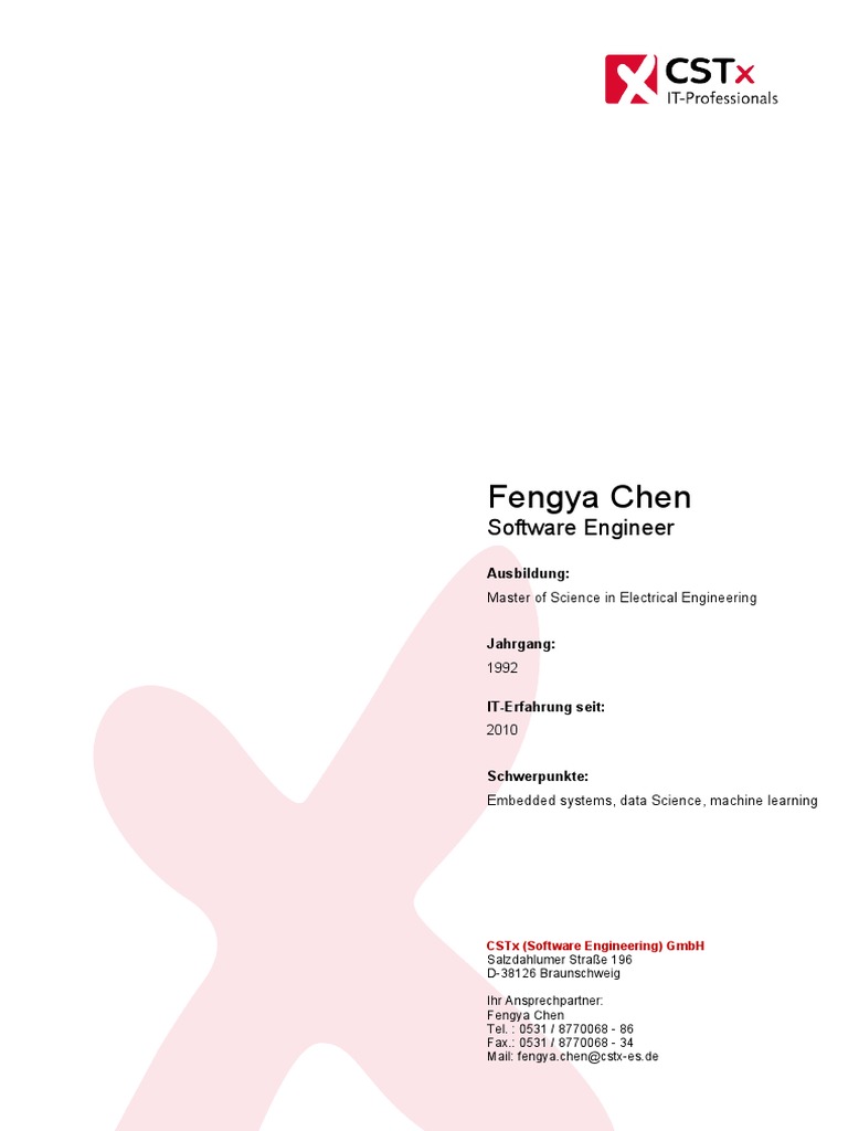 Fengya Chen - Profil-Vorlage ES | PDF