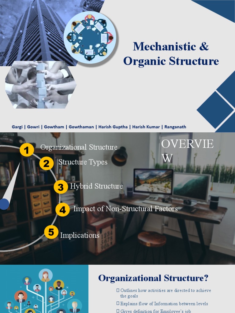 Group 3 - Mechanistic - Organic - Structure | PDF | Organizational ...