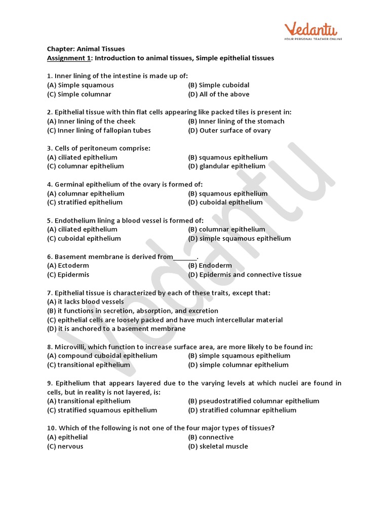 Animal Tissues-Assignment 1 | PDF | Epithelium | Microscopy