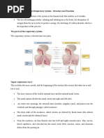 Respiratory System | PDF | Respiratory Tract | Thorax