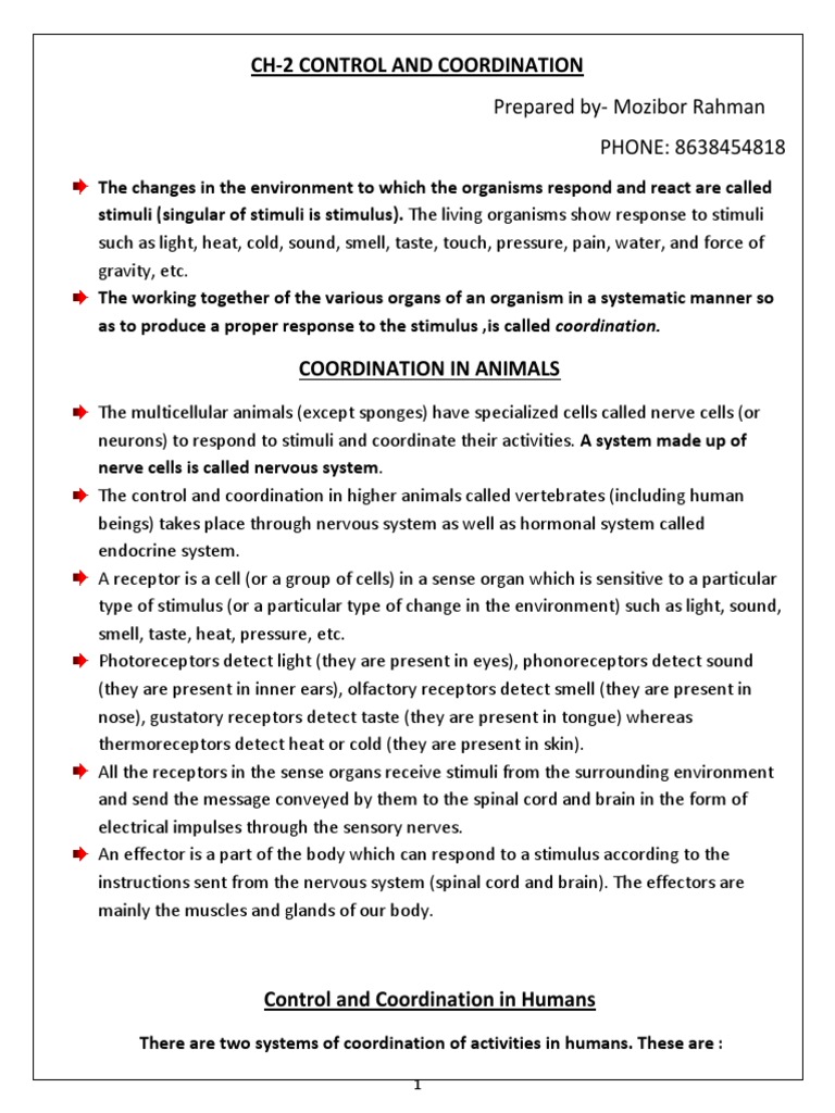 Control and Coordination | PDF | Neuron | Nervous System