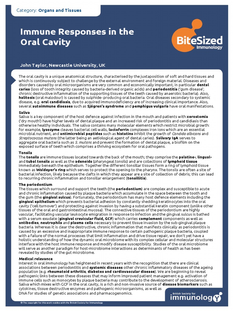 Immune Responses in The Oral Cavity | PDF | Inflammation | Immune System