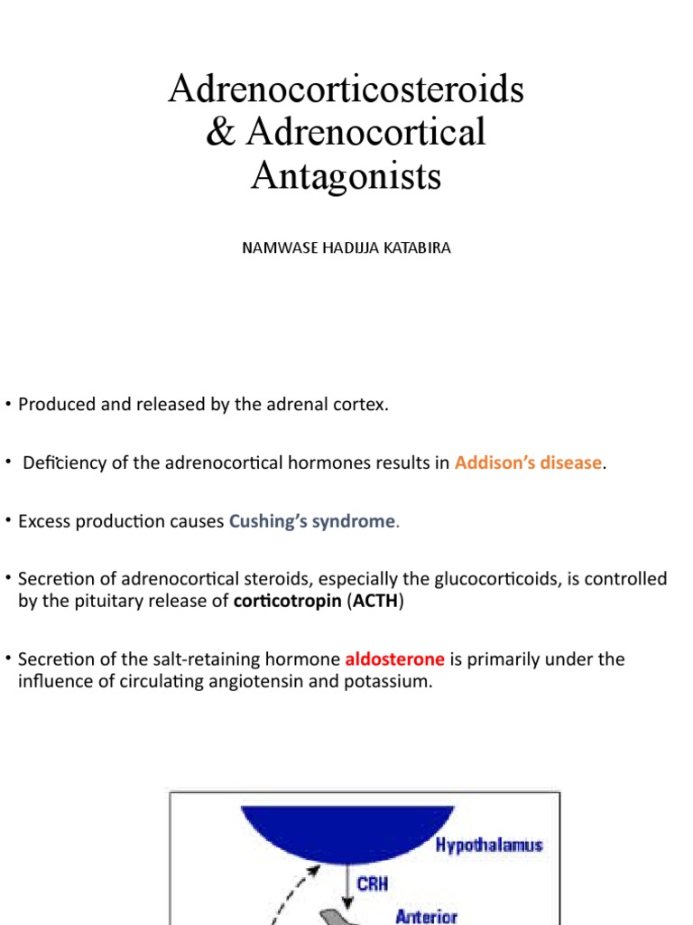 Overview of Adrenocorticosteroids | PDF | Glucocorticoid | Adrenal Gland