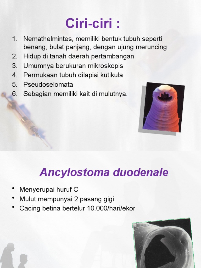 Pencegahan Infeksi Cacing Tambang | PDF | Sains & Matematika