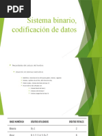 Defusal Manual - Spanish | PDF | Color | Verde