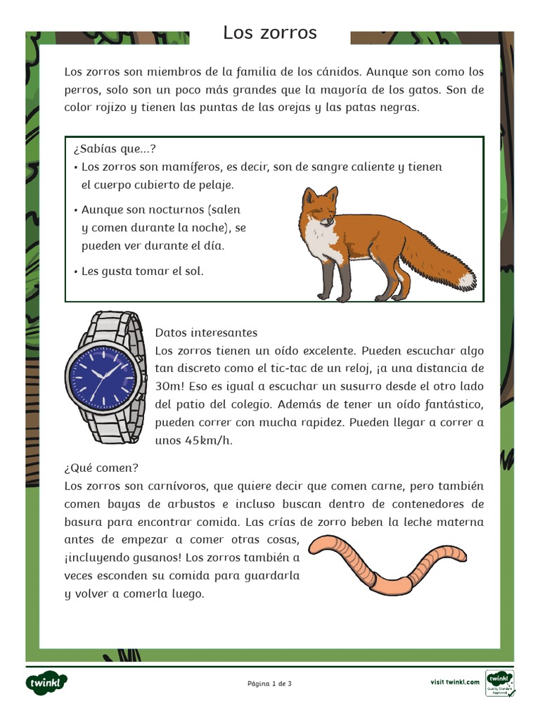 Comprensión Lectora Los Zorros | PDF
