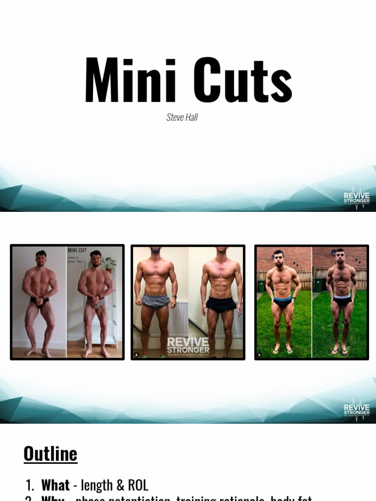 Mini Cuts | PDF | Dieting | Health Sciences