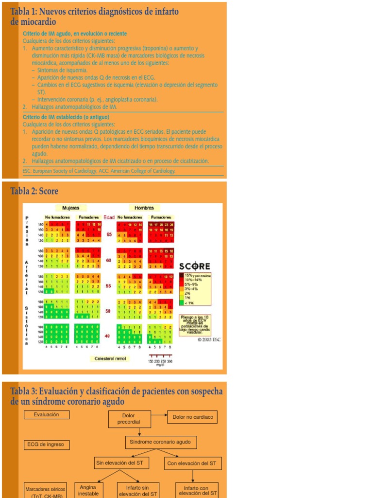 Criterios y Manejo IAM | PDF