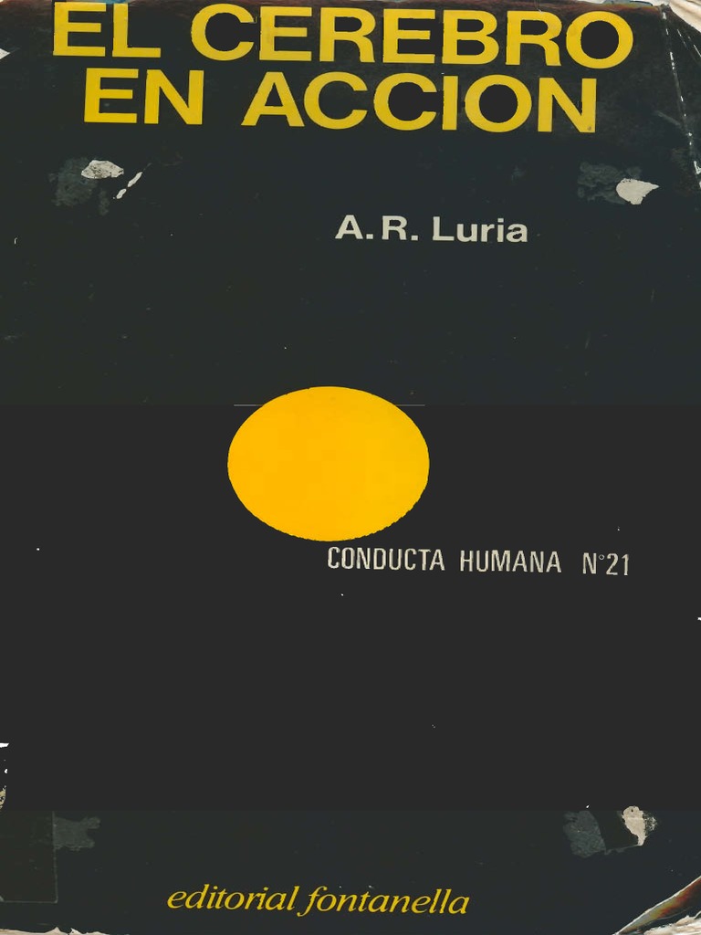 El Cerebro en Acción - A.R. Luria | PDF