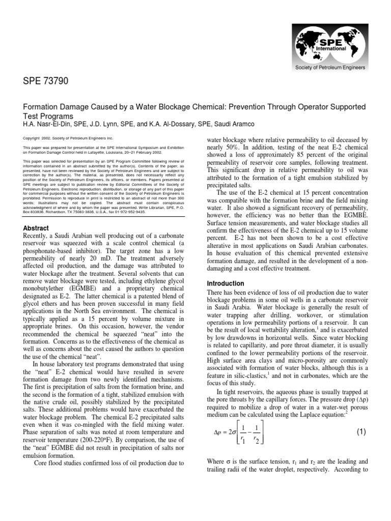 Formation Damage Cuased by A Water Blockage Chemical SPE-00073790 | PDF ...