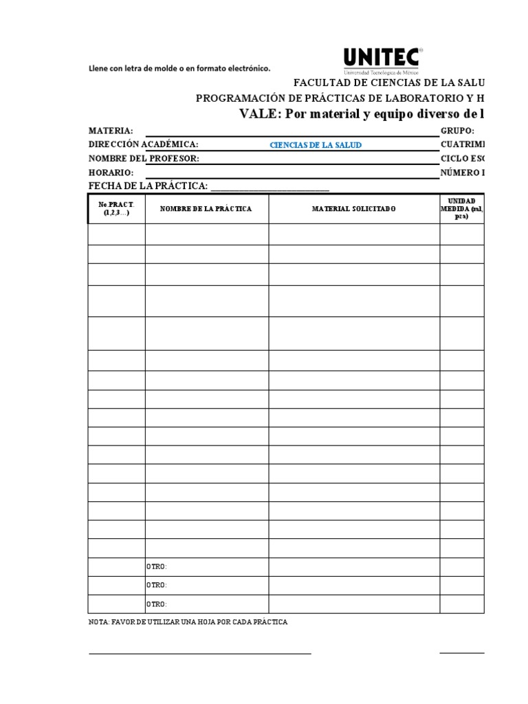 Formato Vale Material | PDF