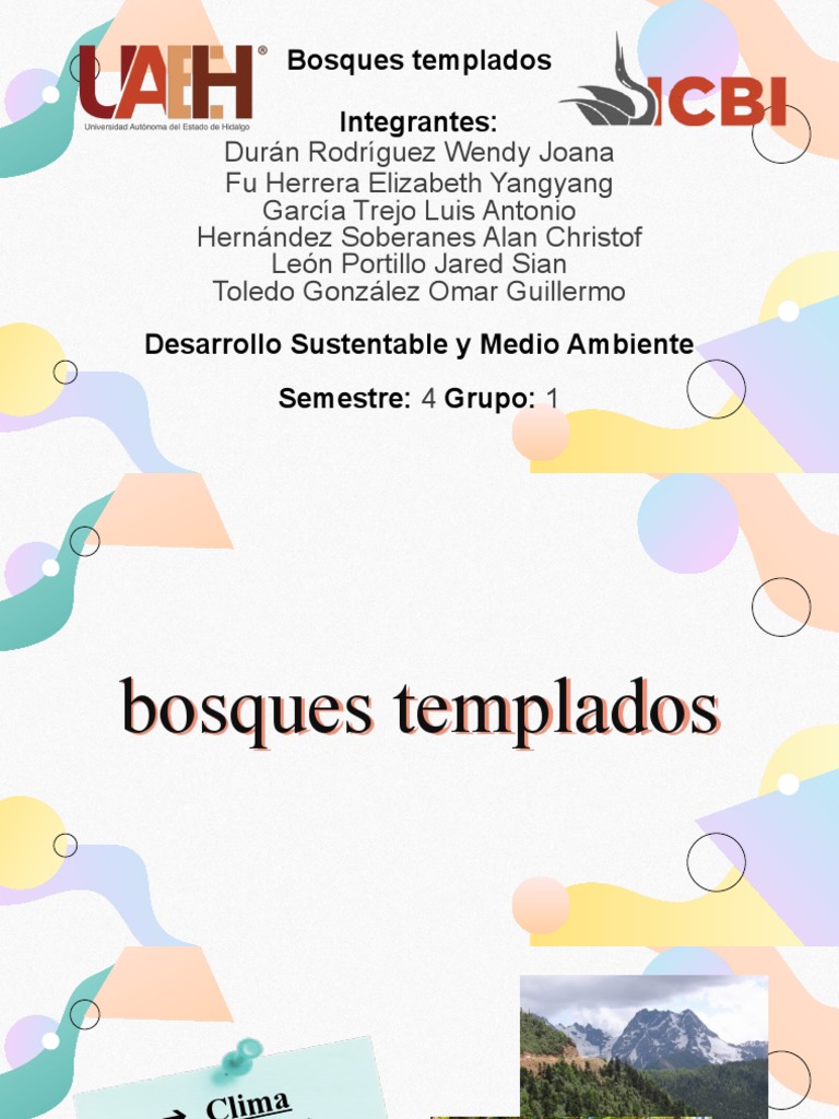 Bosques Templados | PDF | Los bosques | Entorno natural
