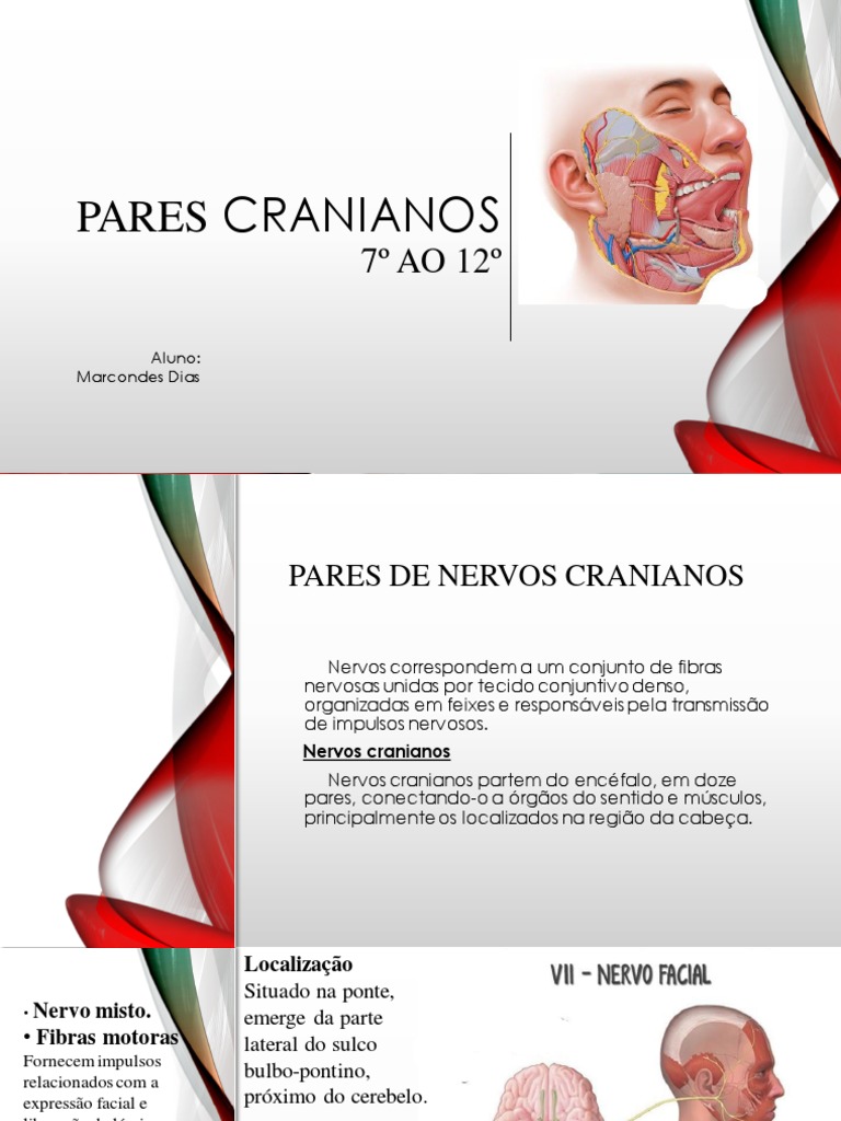 Os principais pares cranianos e sua avaliação e funções | PDF | Nervo ...