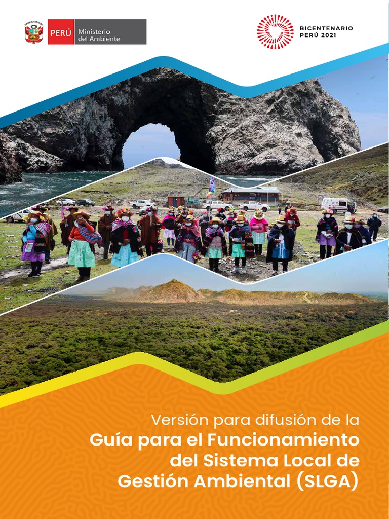 Guía Para El Funcionamiento Del SLGA.pdf | PDF | Ciencias Políticas