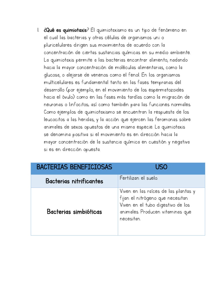 Quimiotaxismo: Movimiento Celular Químico | PDF | Quimiotaxis | Las ...