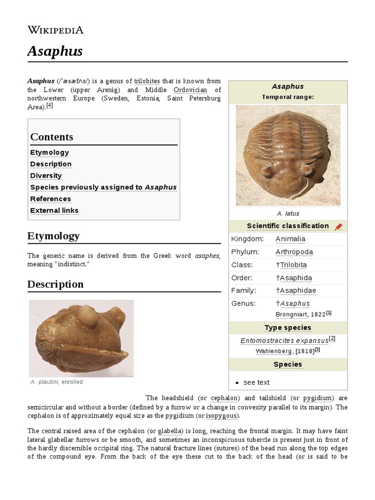 Asaphus | PDF | Social Science