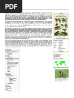 Classification of Frogs | PDF | Frog | Amphibian