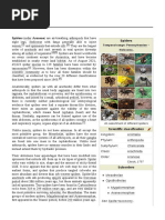 Apologia Flying Creatures CH 3 | PDF | Feather | Dinosauriforms