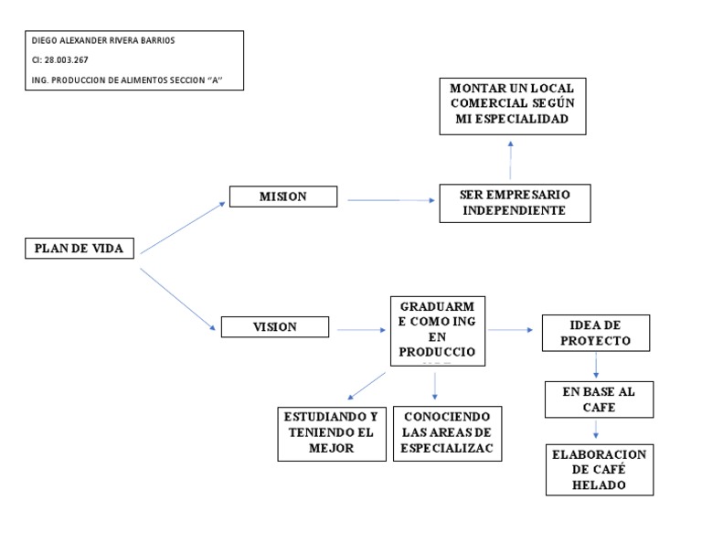 Esquema Plan de Vida | PDF
