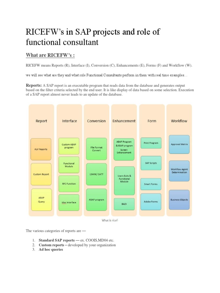 RICEFW's in SAP Projects and Role of Functional Consultant | PDF | Databases | Class (Computer ...