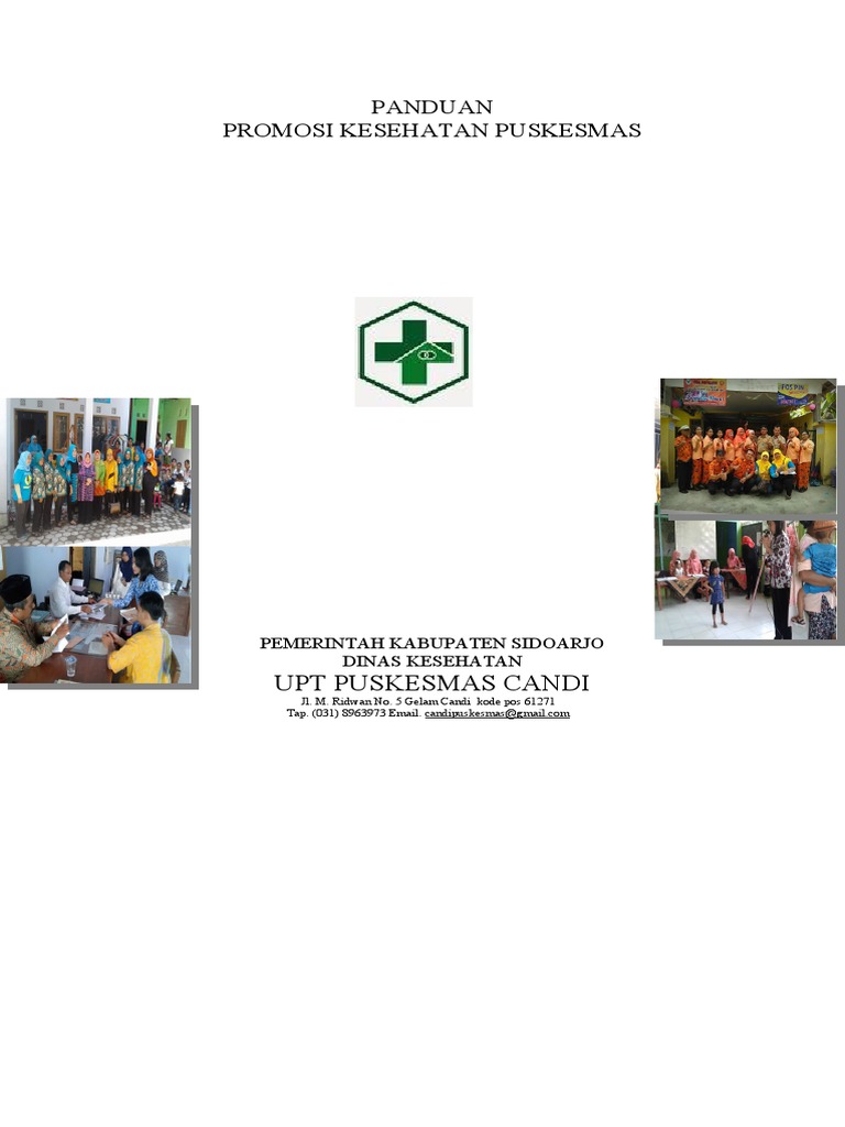 Panduan Promkes | PDF