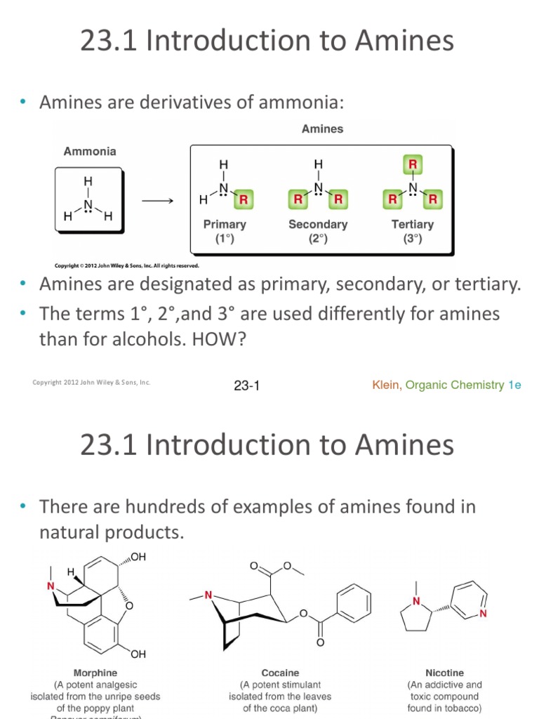 23.1 Introduction To Amines: Amines Are Derivatives of Ammonia | PDF ...